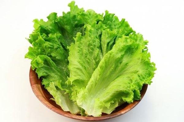 Rau xà lách bao nhiêu calo